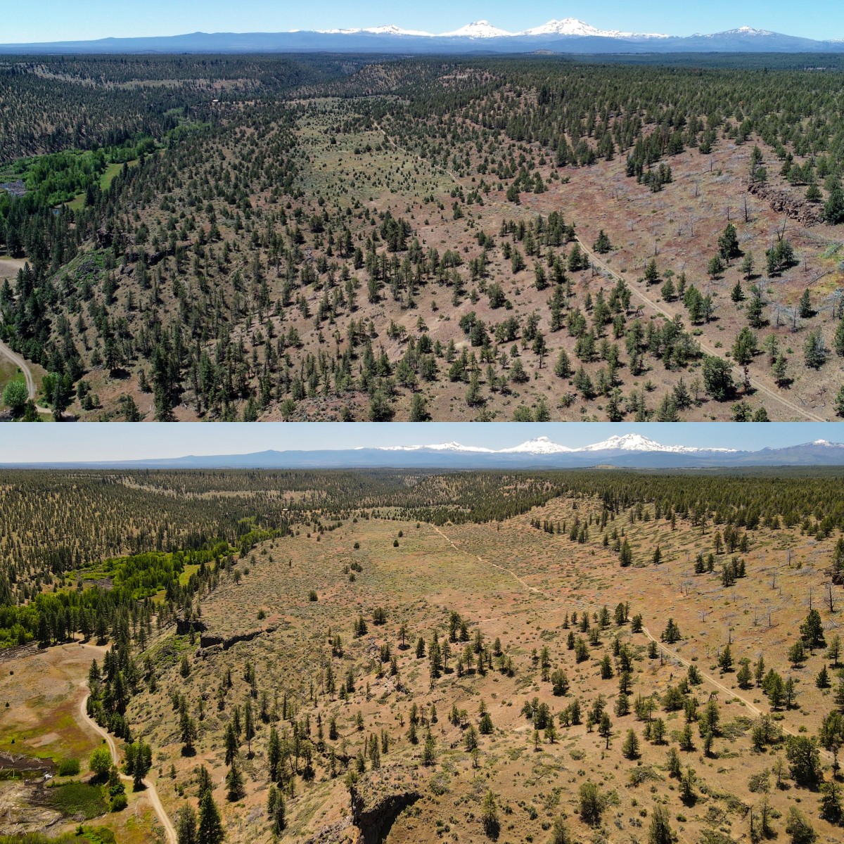 Restoring Balance: Juniper Removal Project at Rimrock Ranch - Deschutes ...